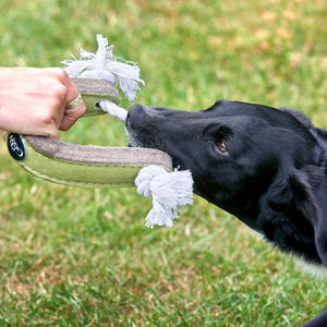 G&W Push Me, Pull Me